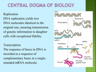 Nucleic acids | PPT