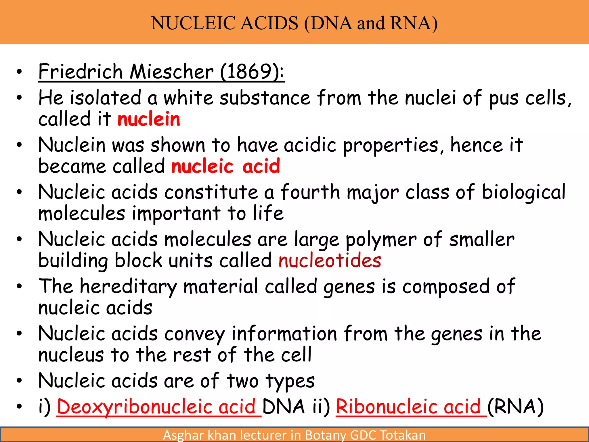 Nucleic acids | PPTX