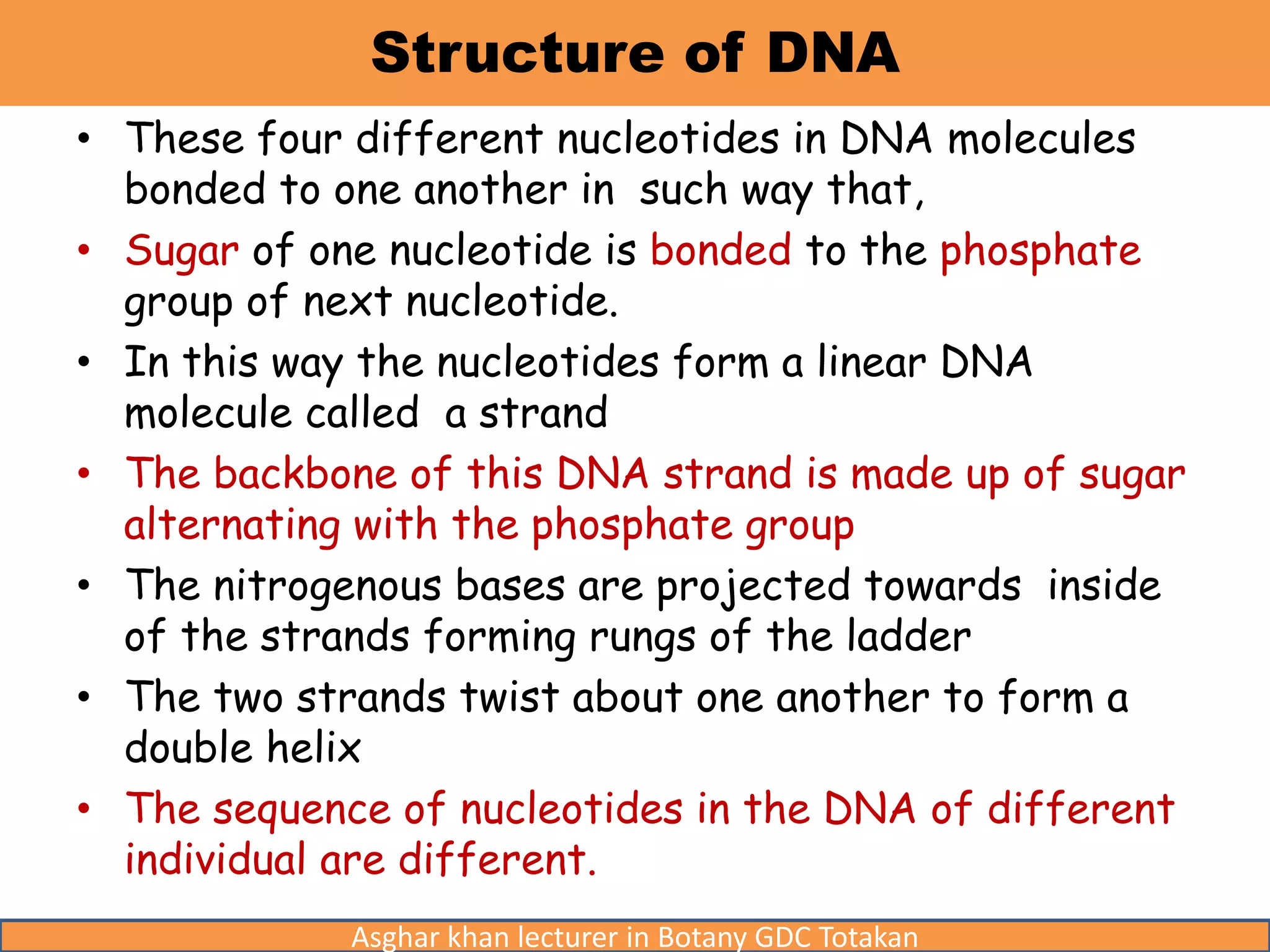 Nucleic acids | PPTX