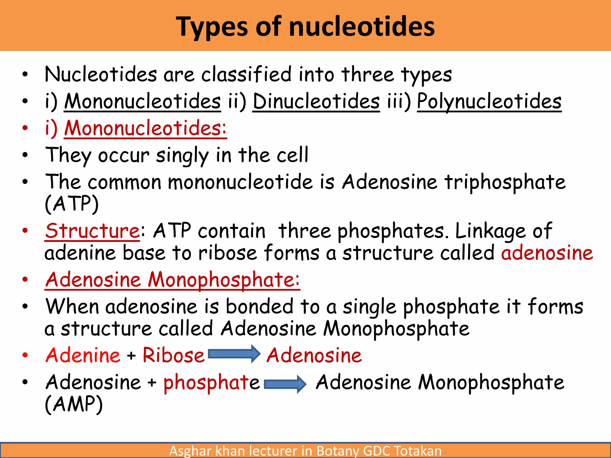 Nucleic acids | PPTX