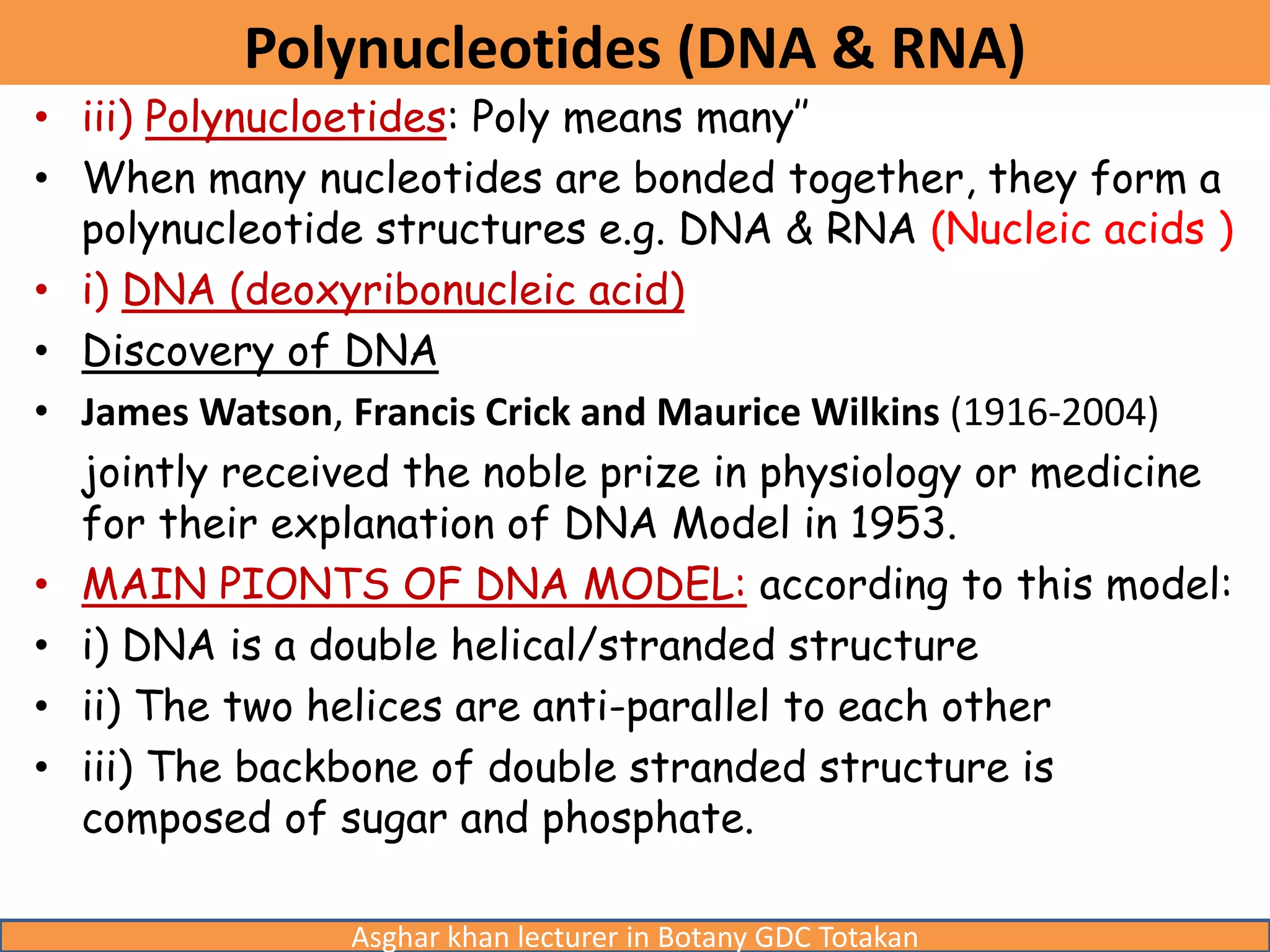 Nucleic acids | PPTX
