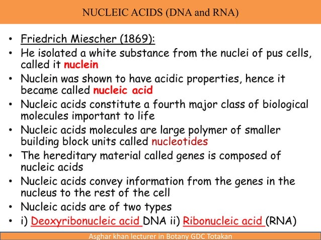 Nucleic acids | PPTX