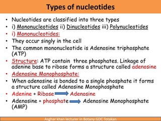 Nucleic acids | PPTX