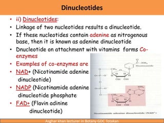 Nucleic acids | PPTX