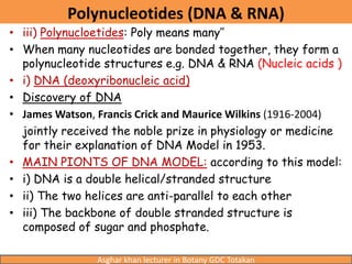 Nucleic acids | PPTX