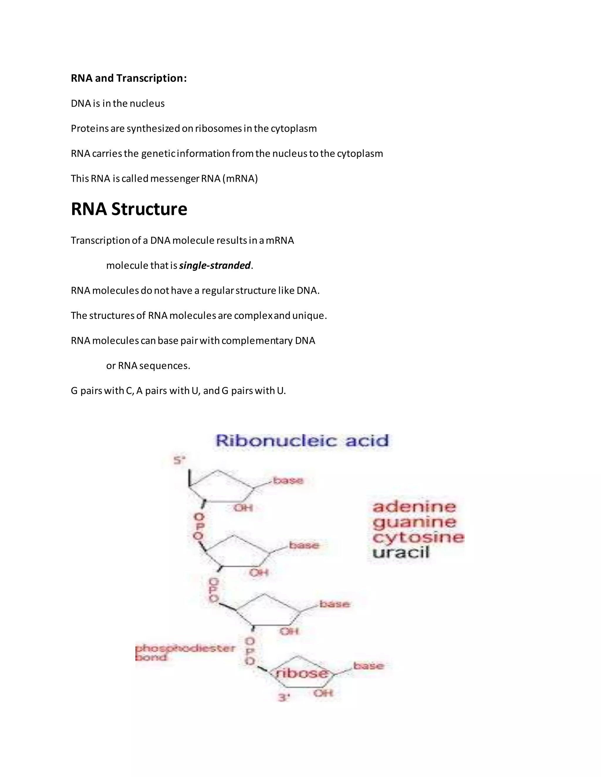 structure of Nucleic acids | DOCX