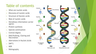 Nucleic acids | PPTX