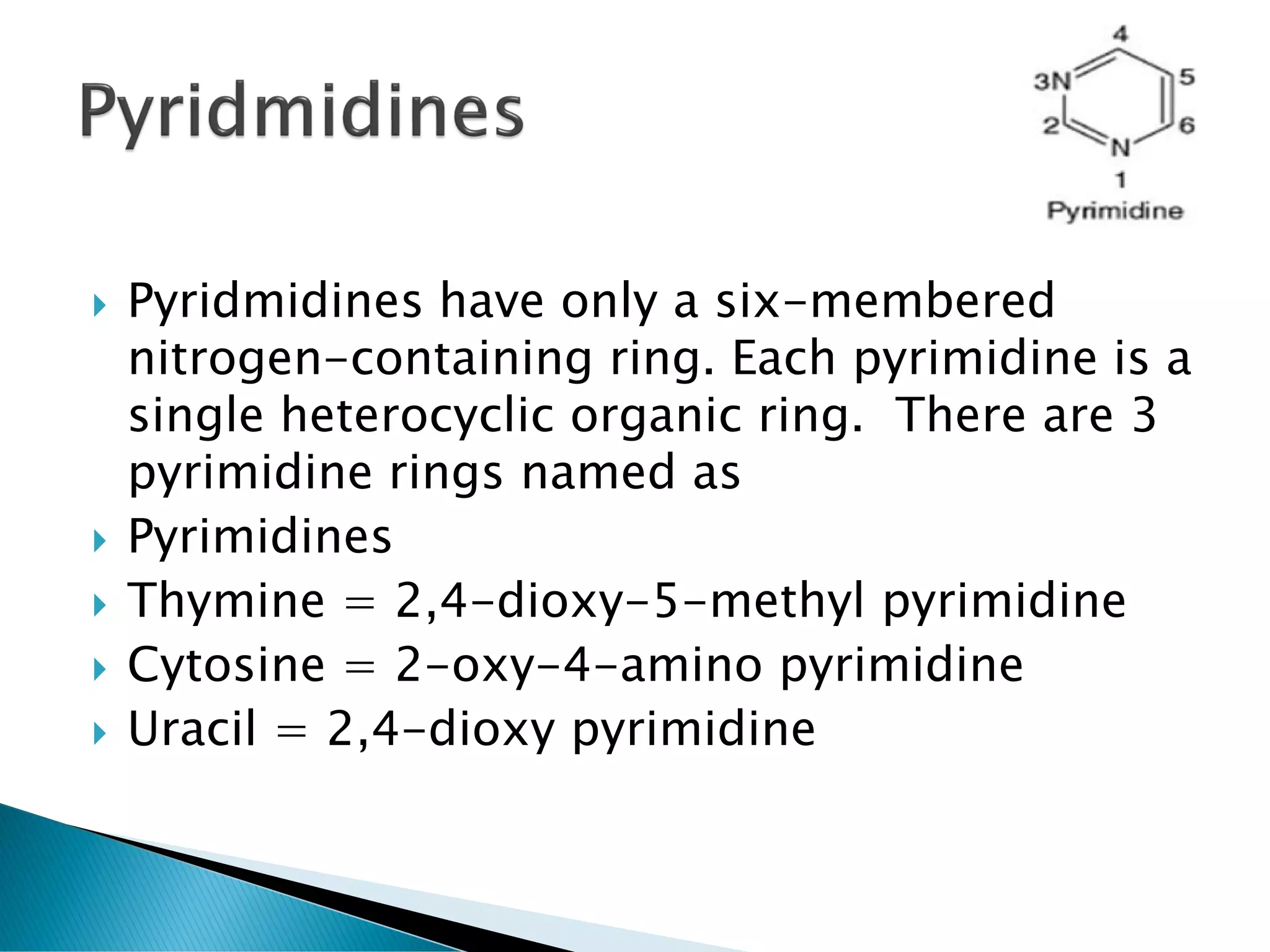 Nucleic acids | PDF