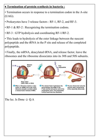 Nucleic acids | PDF
