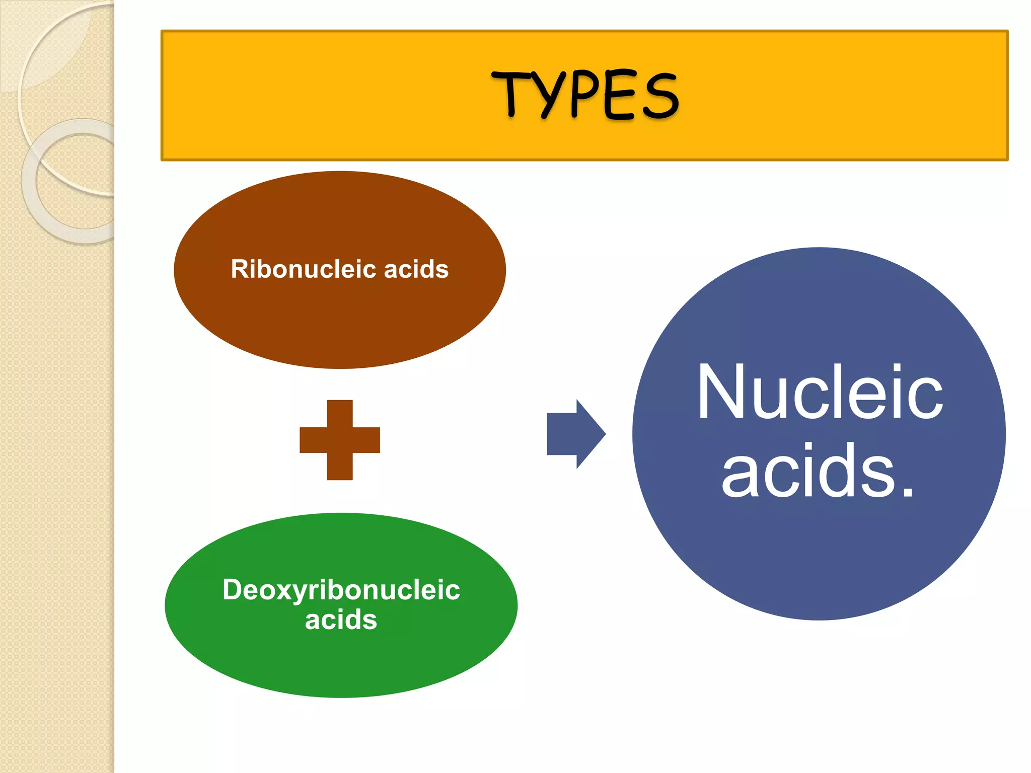 Biomolecules - Nucleic acids | PPT