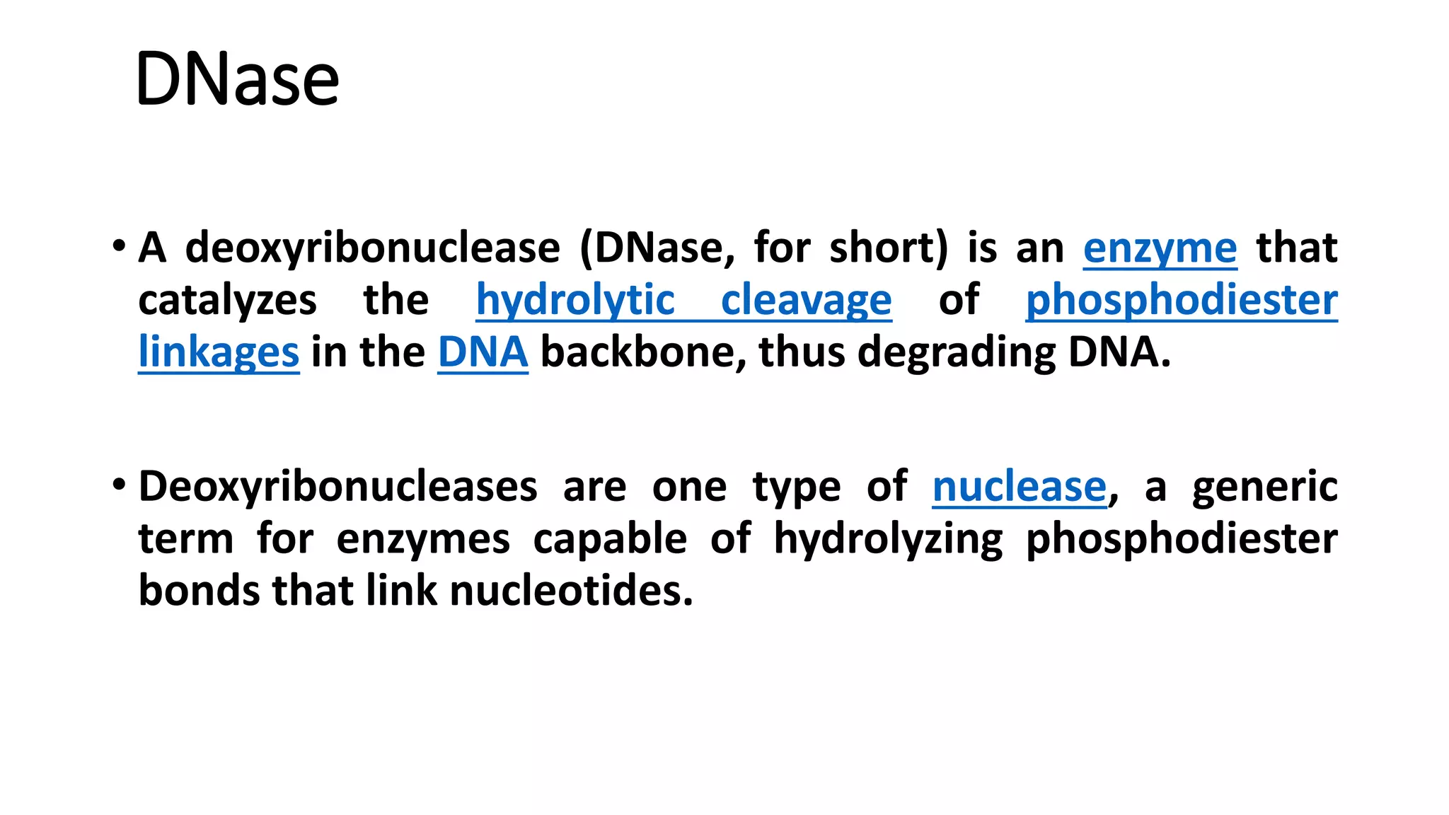 Chemistry of Nucleic acids | PDF