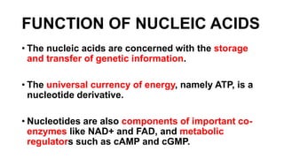 Chemistry of Nucleic acids | PDF