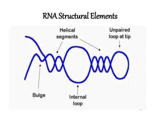 Nucleic acids | PPTX