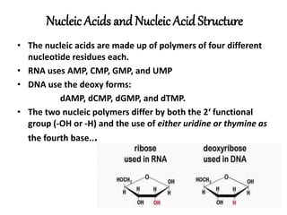 Nucleic acids | PPTX