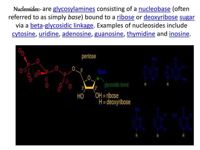 Nucleic acids | PPTX | Chemistry | Science
