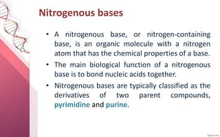 Nitrogen Base Definition