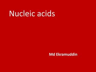 Nucleic acids | PPT