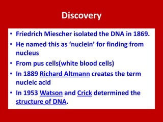 Nucleic acids | PPT