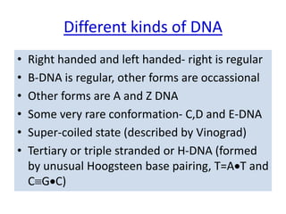 Nucleic acids | PPT