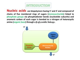 Nucleic acids | PPTX