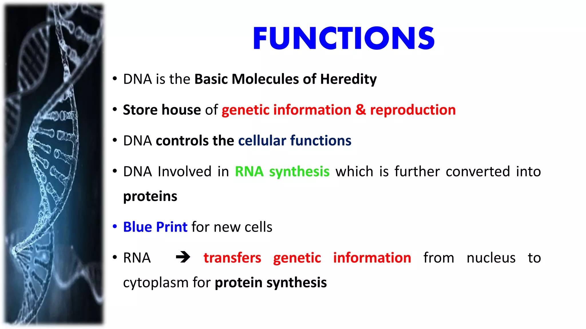 Biomolecules ; Nucleic acids | PPTX