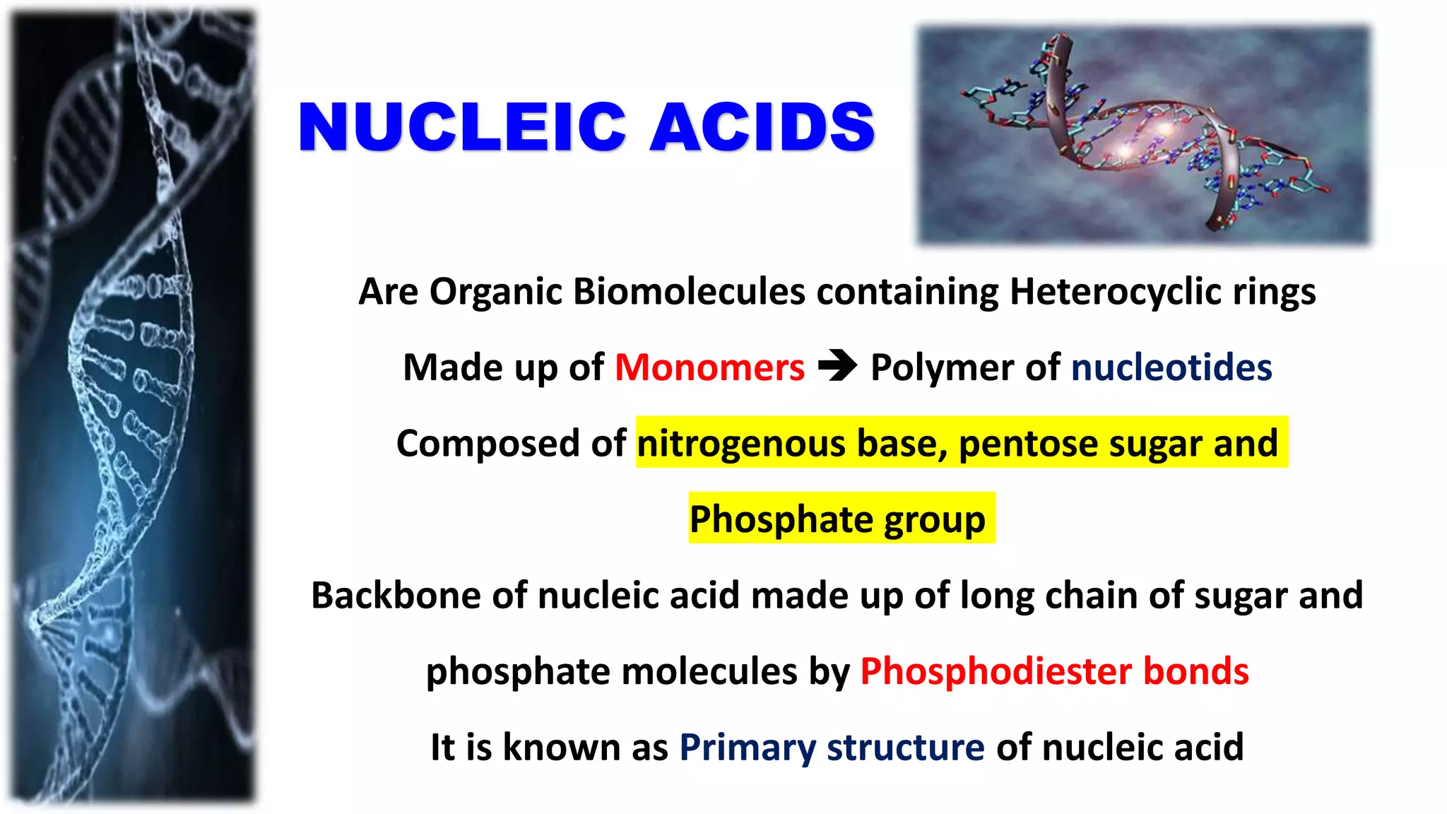 Biomolecules ; Nucleic acids | PPTX