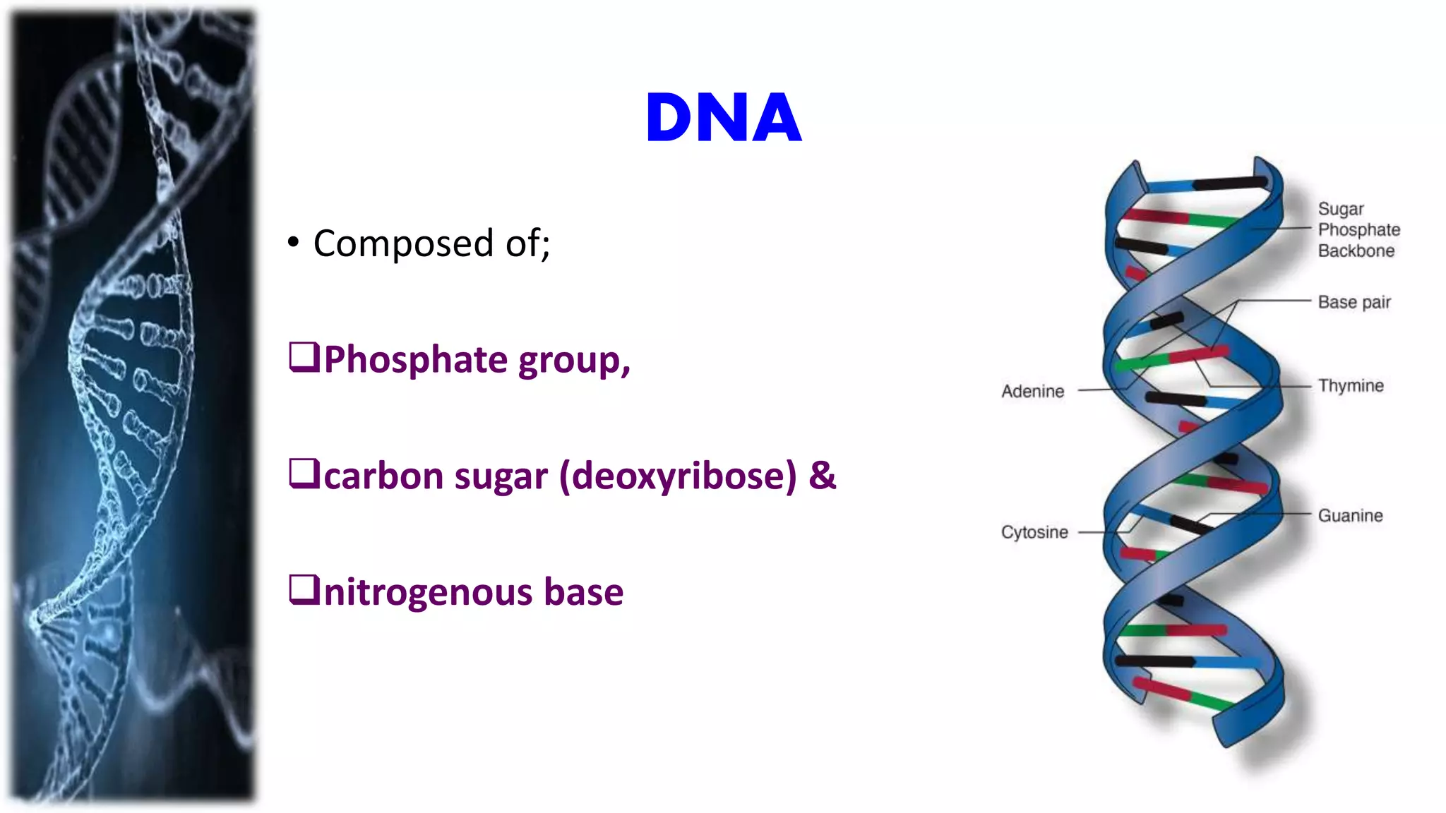 Biomolecules ; Nucleic acids | PPTX