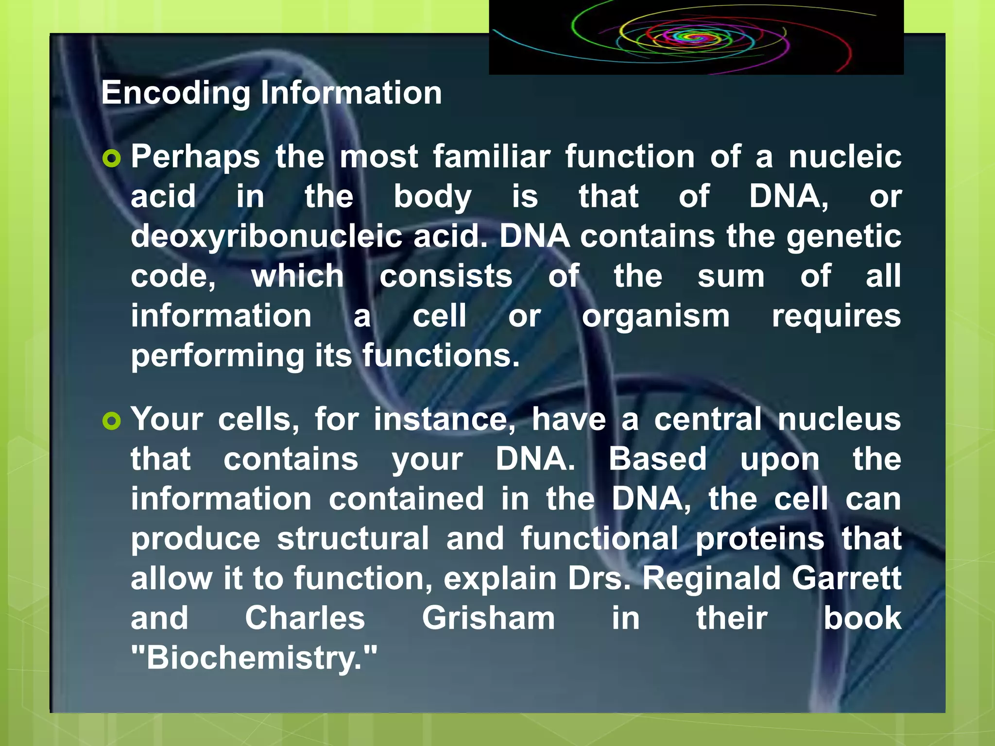 Nucleic Acids.pptx