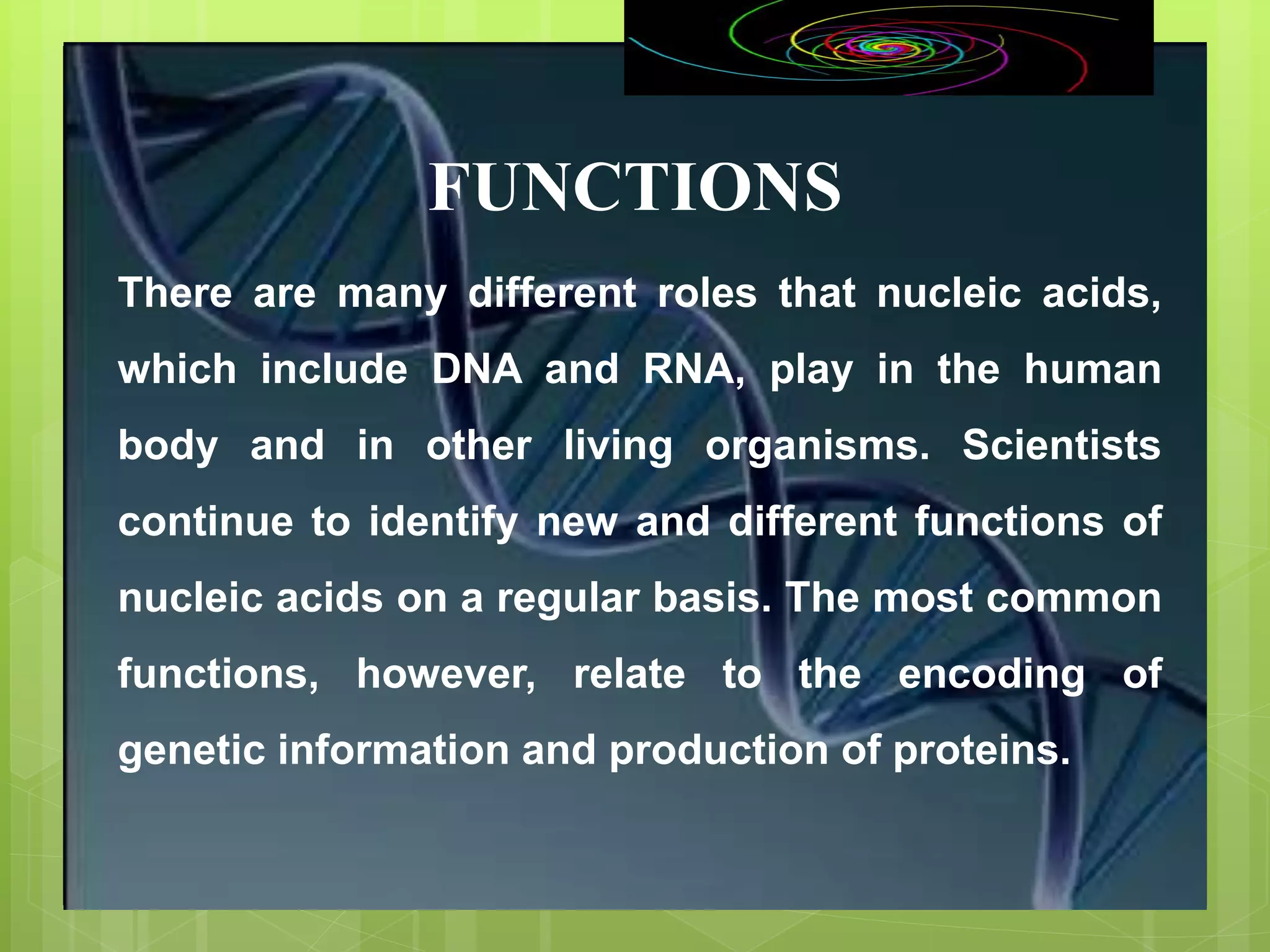 Nucleic Acids.pptx
