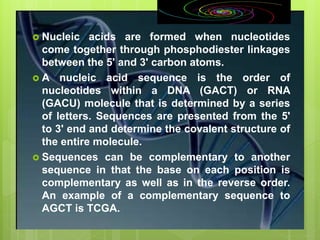 Nucleic Acids.pptx