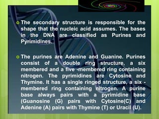 Nucleic Acids.pptx
