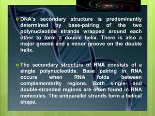 Nucleic Acids.pptx