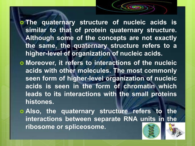 Nucleic Acids.pptx