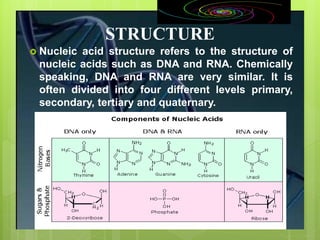 Nucleic Acids.pptx