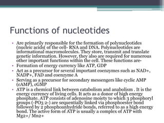 Nucleic acids.pptx