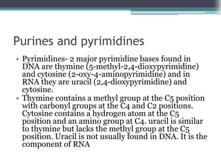Nucleic acids.pptx