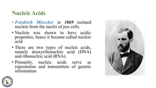 nucleic acids.pptx