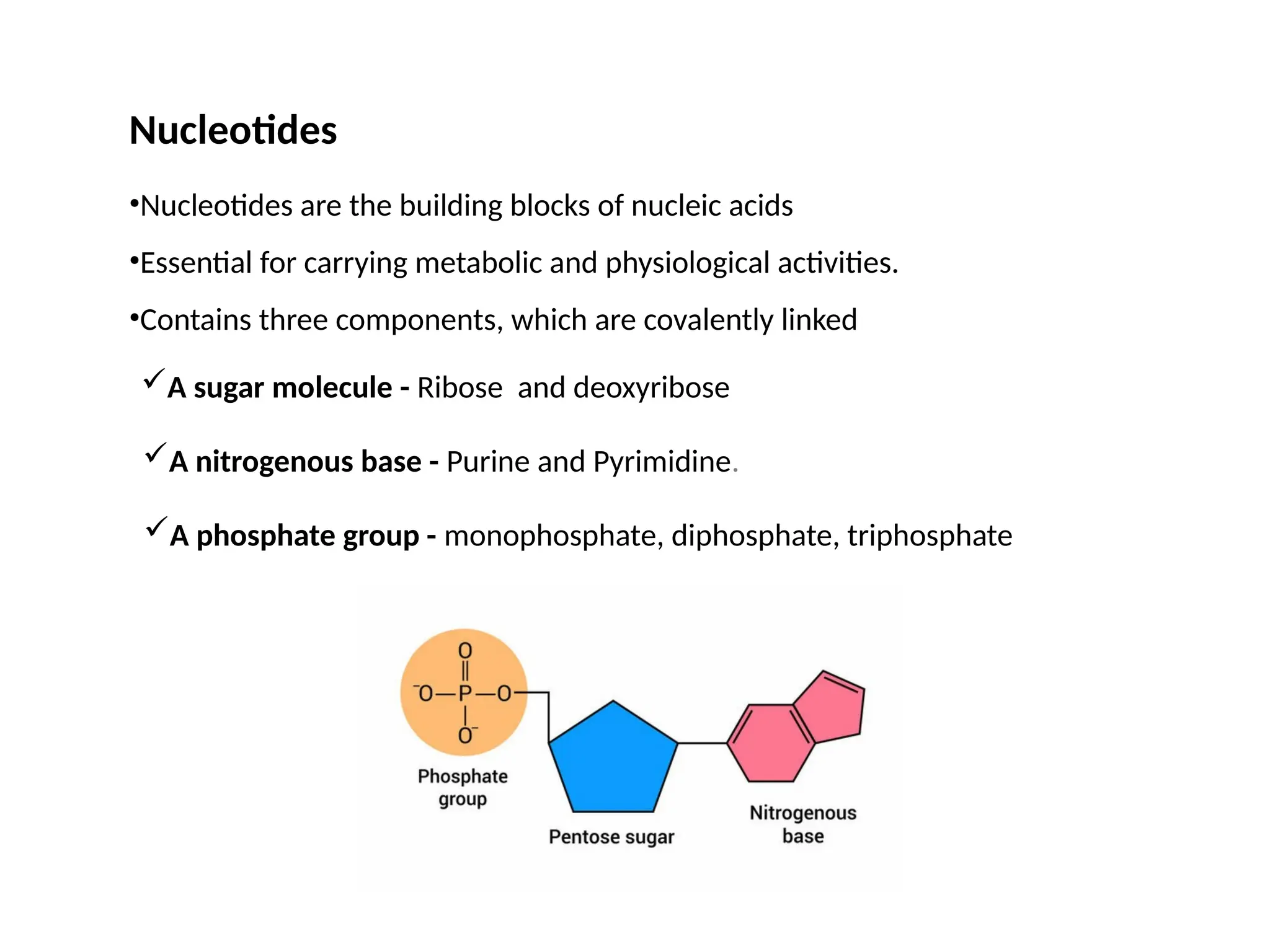 Nucleic acids.pptxndjeejejjeejjejejeejjej | PPTX