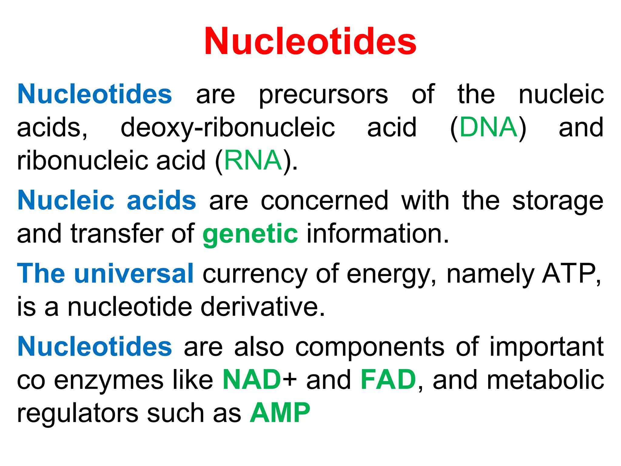 NUCLEIC ACIDS.ppt... biochemistry for nurses | PPT