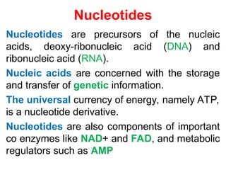 NUCLEIC ACIDS.ppt... biochemistry for nurses | PPT