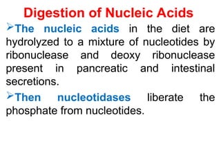 NUCLEIC ACIDS.ppt... biochemistry for nurses | PPT