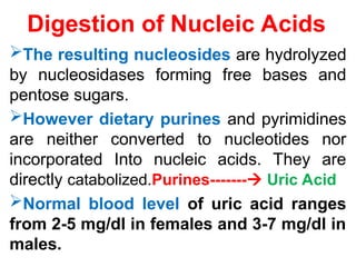 NUCLEIC ACIDS.ppt... biochemistry for nurses | PPT