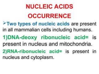 NUCLEIC ACIDS.ppt... biochemistry for nurses | PPT