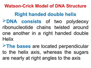 NUCLEIC ACIDS.ppt... biochemistry for nurses | PPT