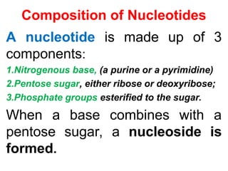 NUCLEIC ACIDS.ppt... biochemistry for nurses | PPT