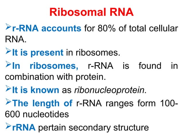 NUCLEIC ACIDS.ppt... biochemistry for nurses | PPT