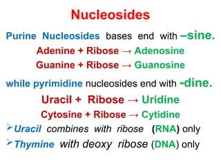 NUCLEIC ACIDS.ppt... biochemistry for nurses | PPT