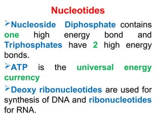 NUCLEIC ACIDS.ppt... biochemistry for nurses | PPT