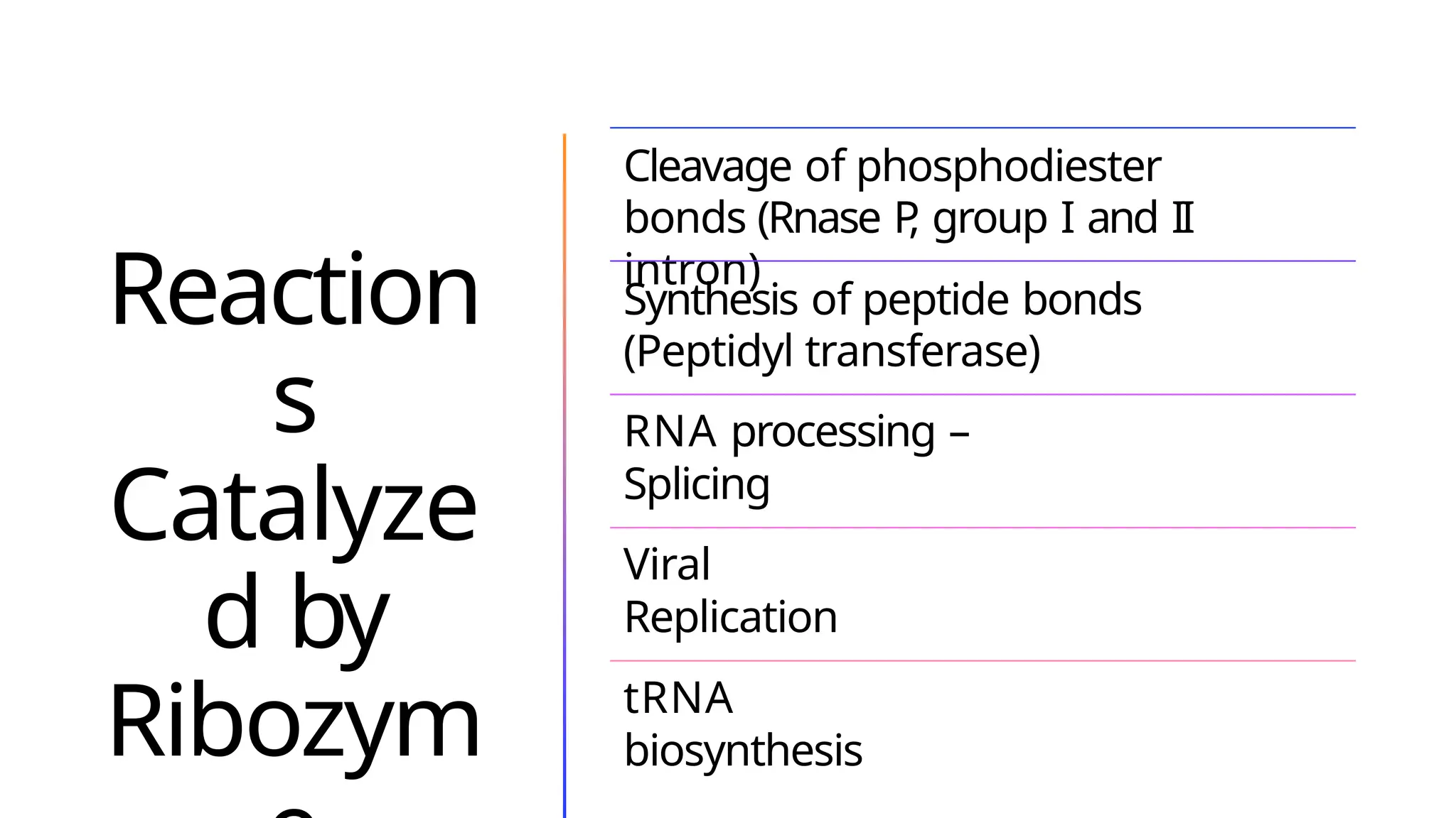 Biological Macromolecule - Nucleic Acids.pptx
