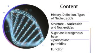 Biological Macromolecule - Nucleic Acids.pptx